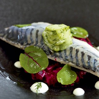 Marvellous Mackerel