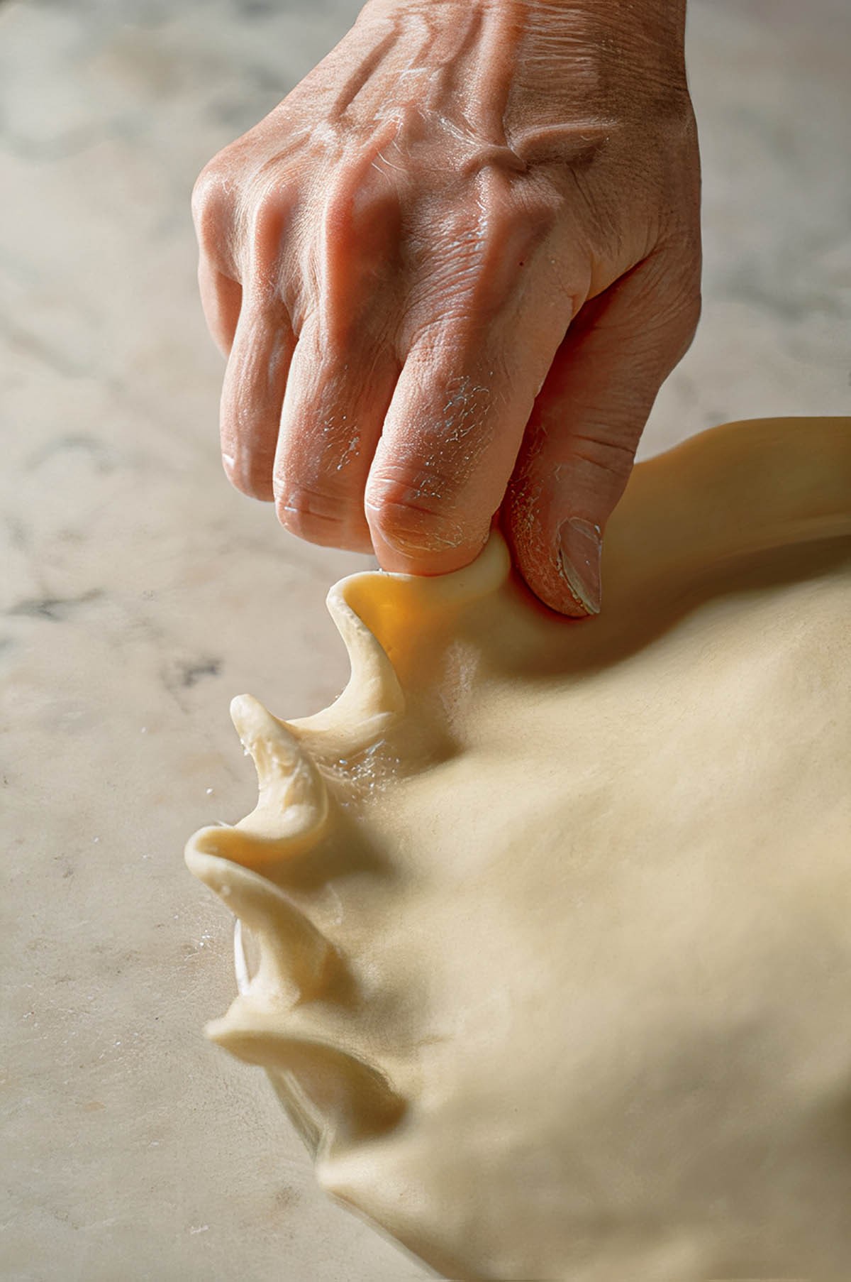 Perfect Flaky and Tender Cream Cheese Pie Crust from The Baking Bible ...