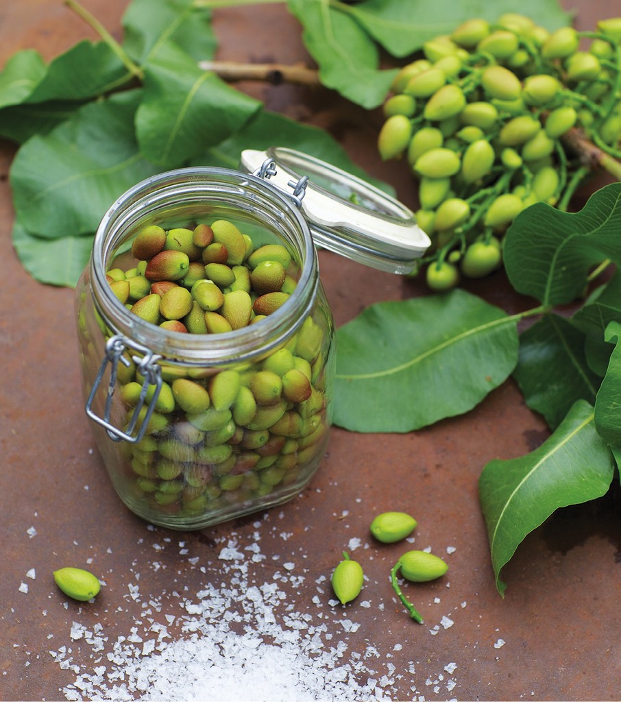 Unripe Grapes in Brine from Food of Life by Najmieh Batmanglij