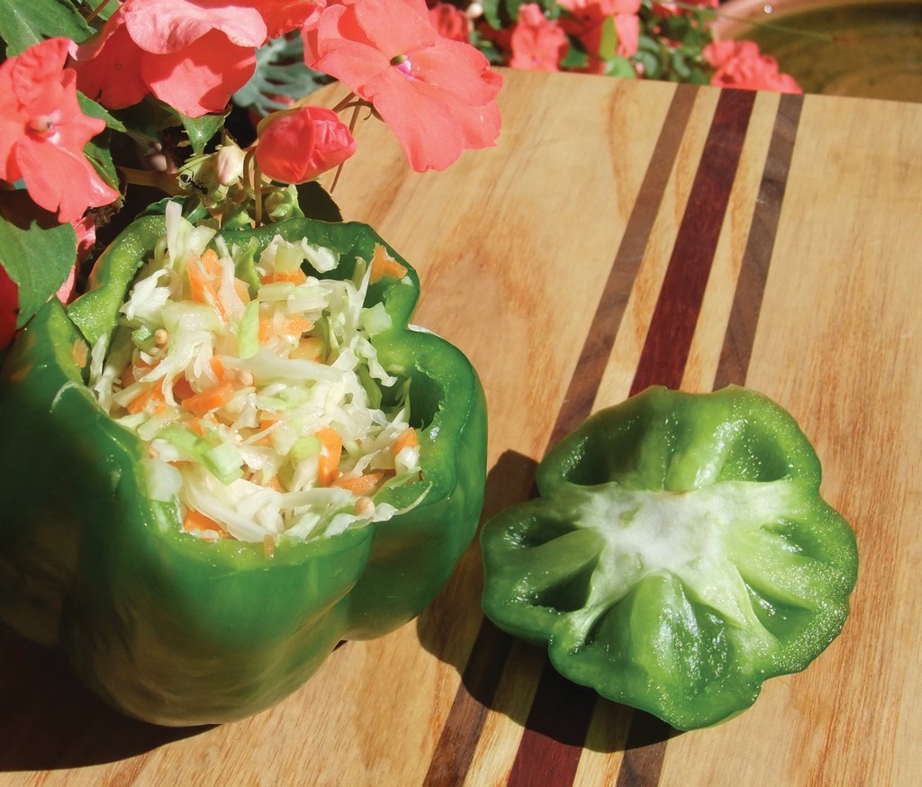 Stuffed Pickled Peppers from Home Canning and Preserving by Janet Cooper