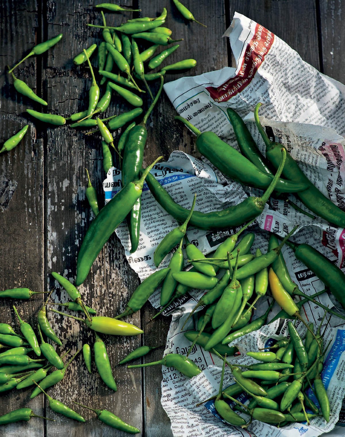Curd Chillies from Hidden Kitchens of Sri Lanka by Bree Hutchins