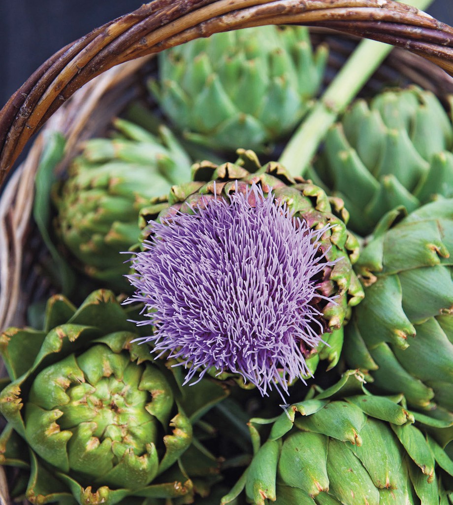 Artichokes in Olive Oil from Mediterranean Vegetarian Feasts by Aglaia ...