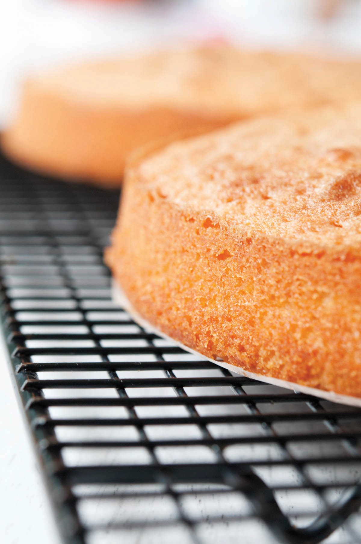 Victoria Sponge from The Pink Whisk Guide to Cake Making by Ruth Clemens