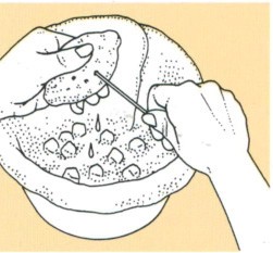 Steamed Suet Crust Pastry from The Cook's Companion: A step-by-step ...