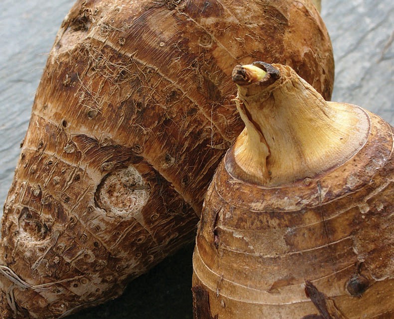 Spiced yam fingers from The Complete Indian Regional Cookbook: 300 ...
